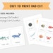 22 Ocean Animals Cards, Montessori Flash Cards, Pre-school Cards ...