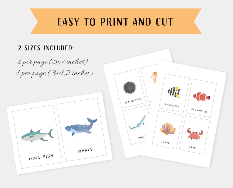 22 Ocean Animals Cards, Montessori Flash Cards, Pre-school Cards ...