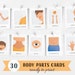 30 Body Parts Cards Montessori Flashcards Pre-school Cards - Etsy