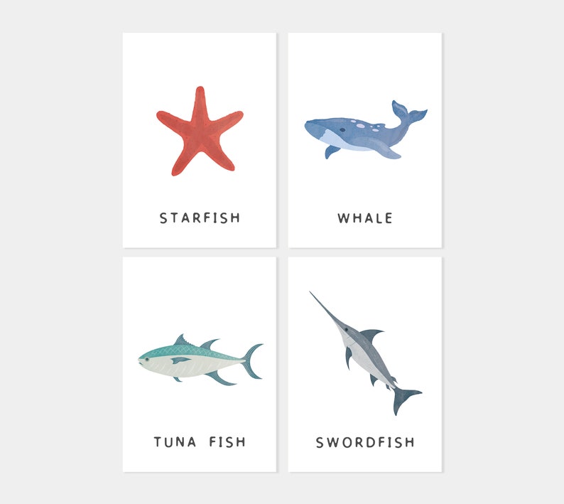 22 Ocean Animals Cards Montessori Flash Cards Pre-school - Etsy