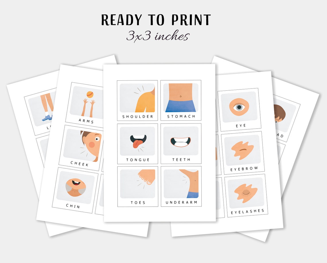 30 Body Parts Cards Montessori Flashcards Pre-school Cards - Etsy