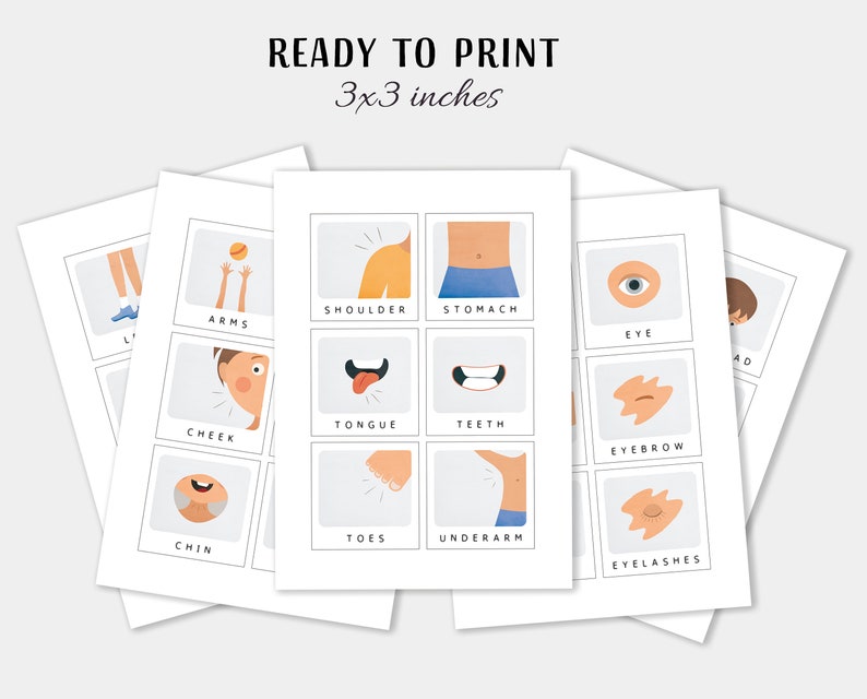 30 Body Parts Cards Montessori Flashcards Pre-school Cards - Etsy