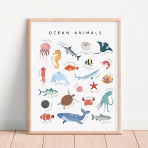 Set of 7 Educational Animal Posters, Insects, Farm Animals, Safari ...