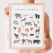 4 Educational Animal Posters, Insects Poster, Farm Animals, Safari ...