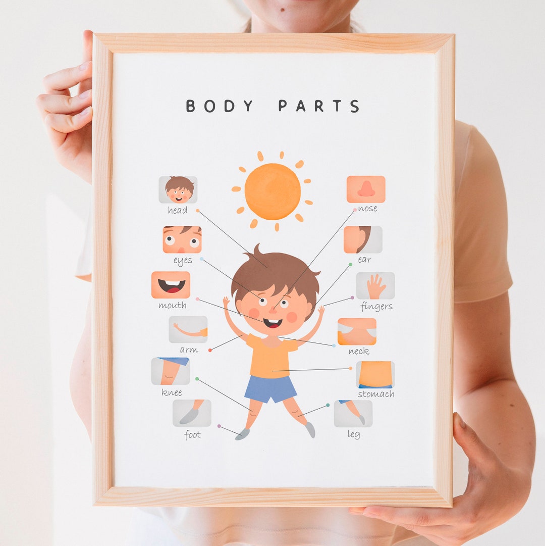 Body Parts Poster, Educational Posters, Montessori Materials, Nursery ...