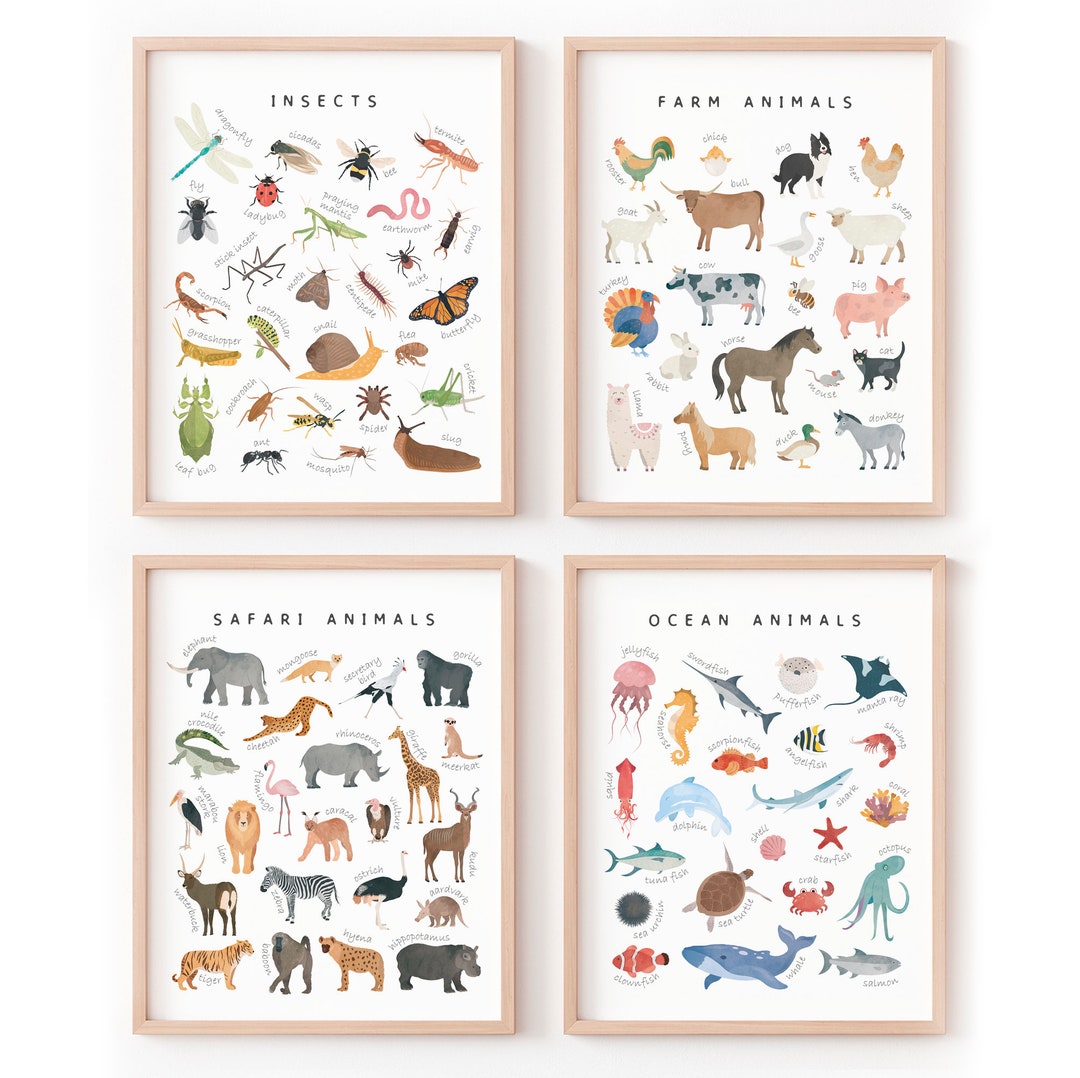4 Educational Animal Posters, Insects Poster, Farm Animals, Safari ...