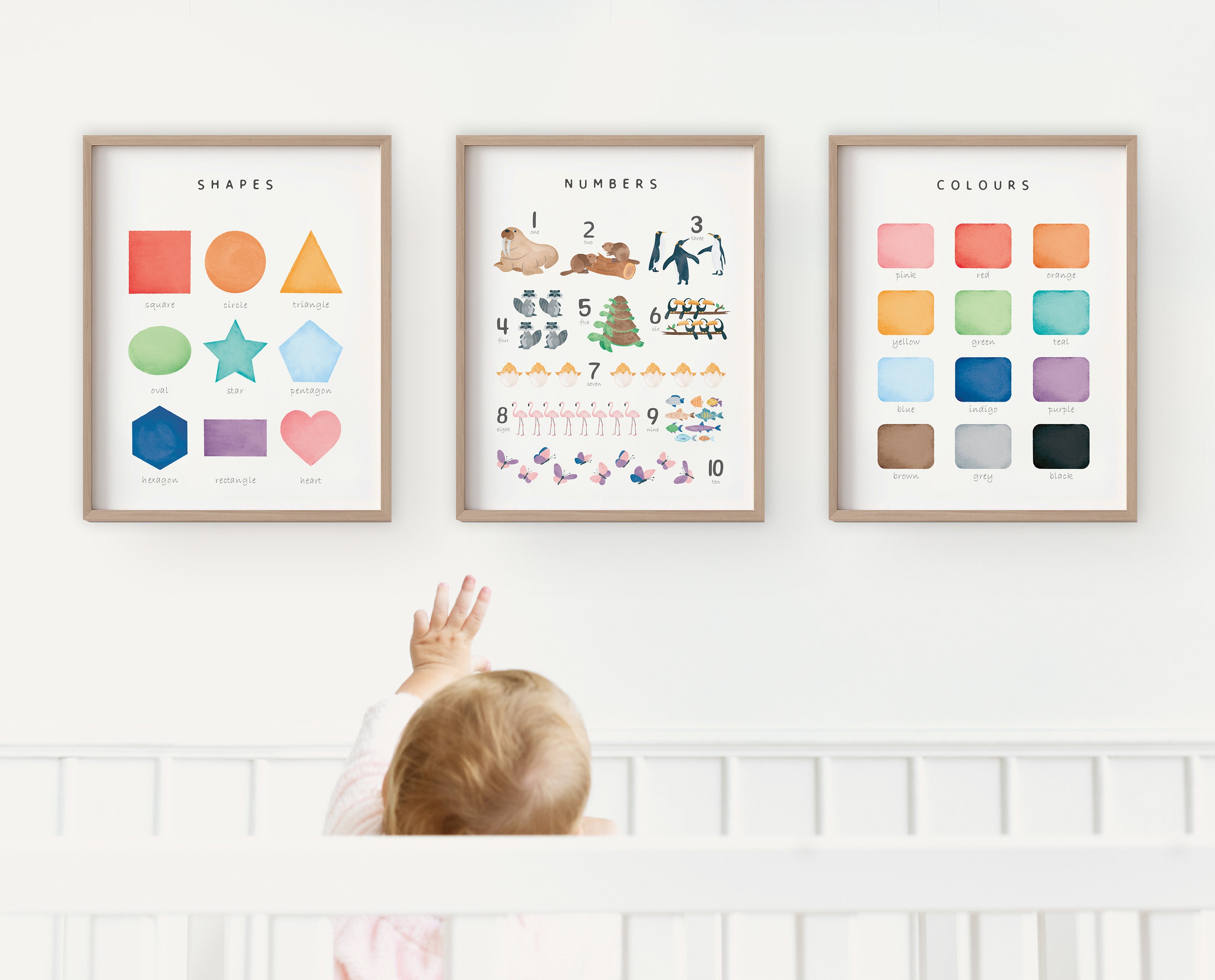 Rainbow Educational Posters, 6 Homeschool Prints, Animal Alphabet ...