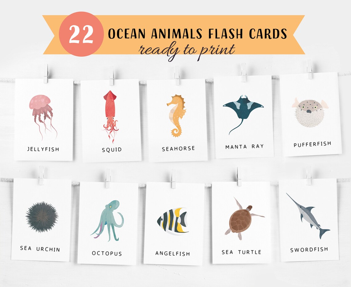 22 Ocean Animals Cards Montessori Flash Cards Pre-school - Etsy