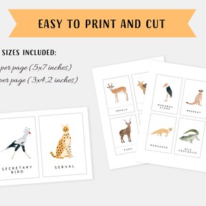 30 Safari Animals Flash Cards, Montessori Materials, Educational ...