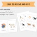 20 Farm Animals Cards, Montessori Flash Cards, Pre-school Cards ...