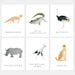 30 cartes Flash Safari Animals, matériel Montessori, cartes éducatives ...