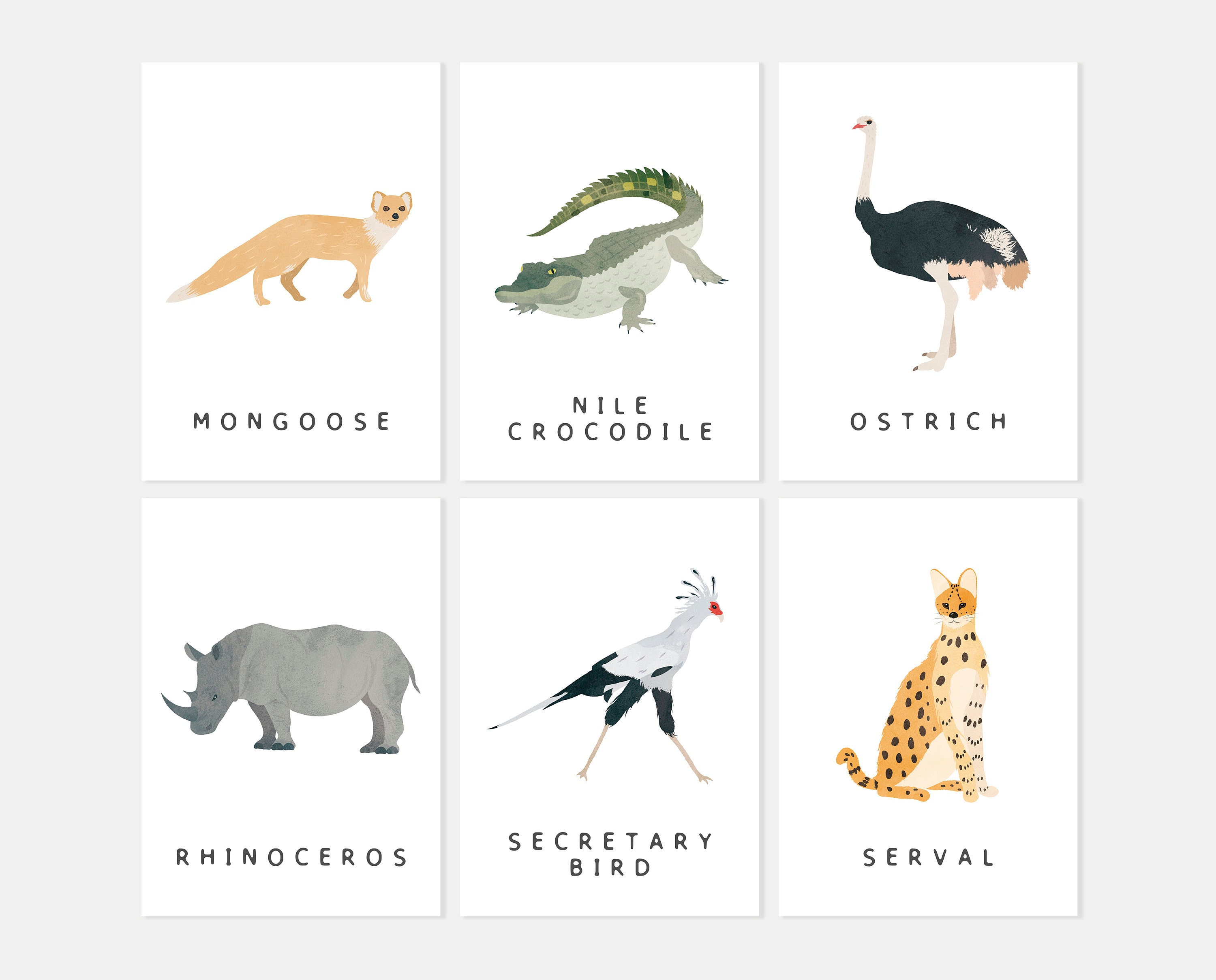 30 Safari Animals Flash Cards, Montessori Materials, Educational ...