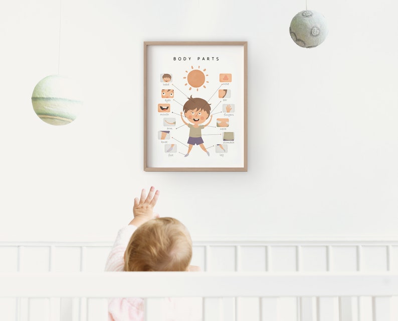 Body Parts Educational Poster Printable Wall Art Digital - Etsy UK