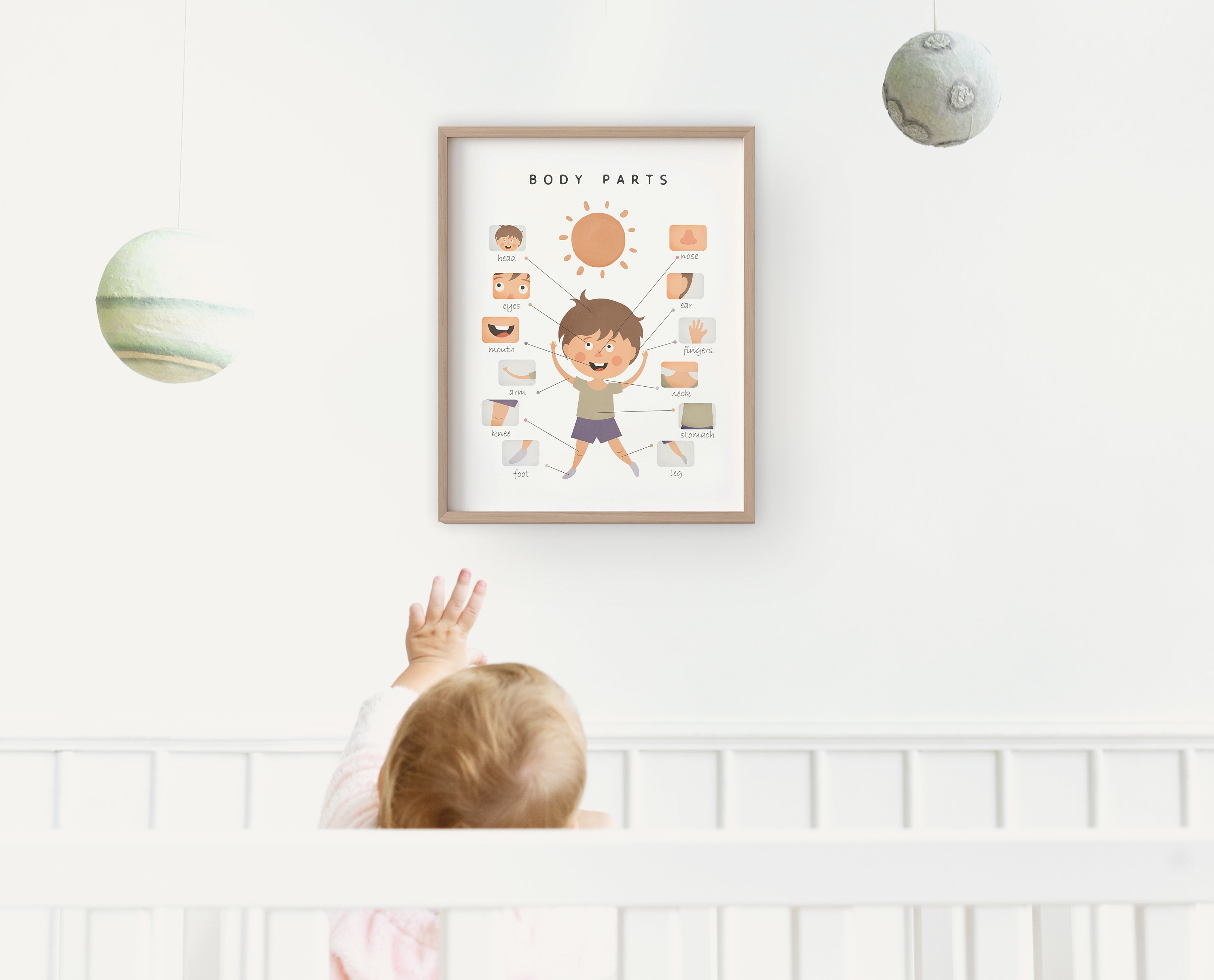 Body Parts, Educational Poster, Printable Wall Art, Digital Download ...
