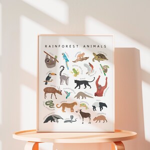 Rainforest Animals Poster, Educational Poster, Nursery Wall Decor ...