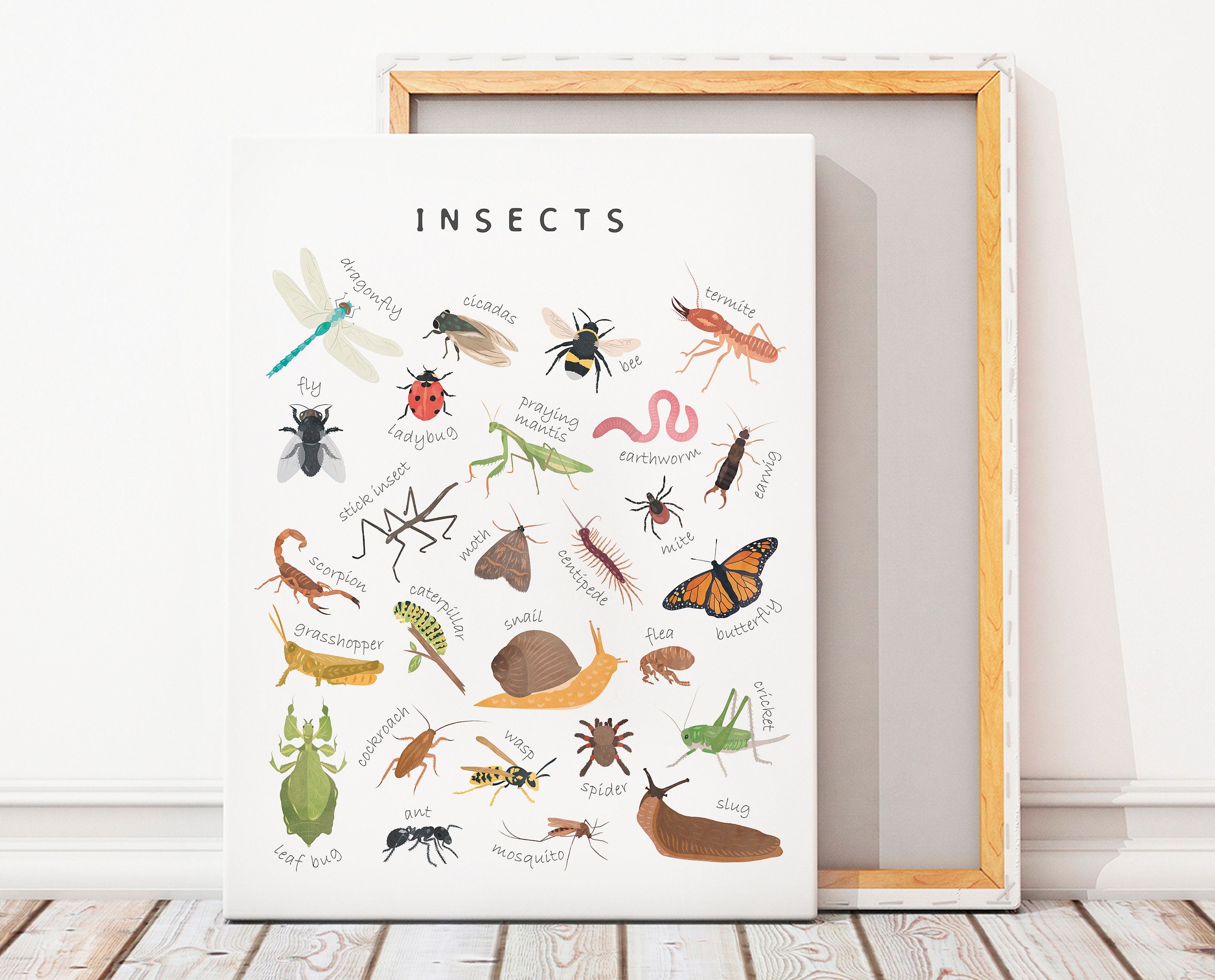 Educational Bugs Poster, Insects Poster, Nature Classroom Decor ...