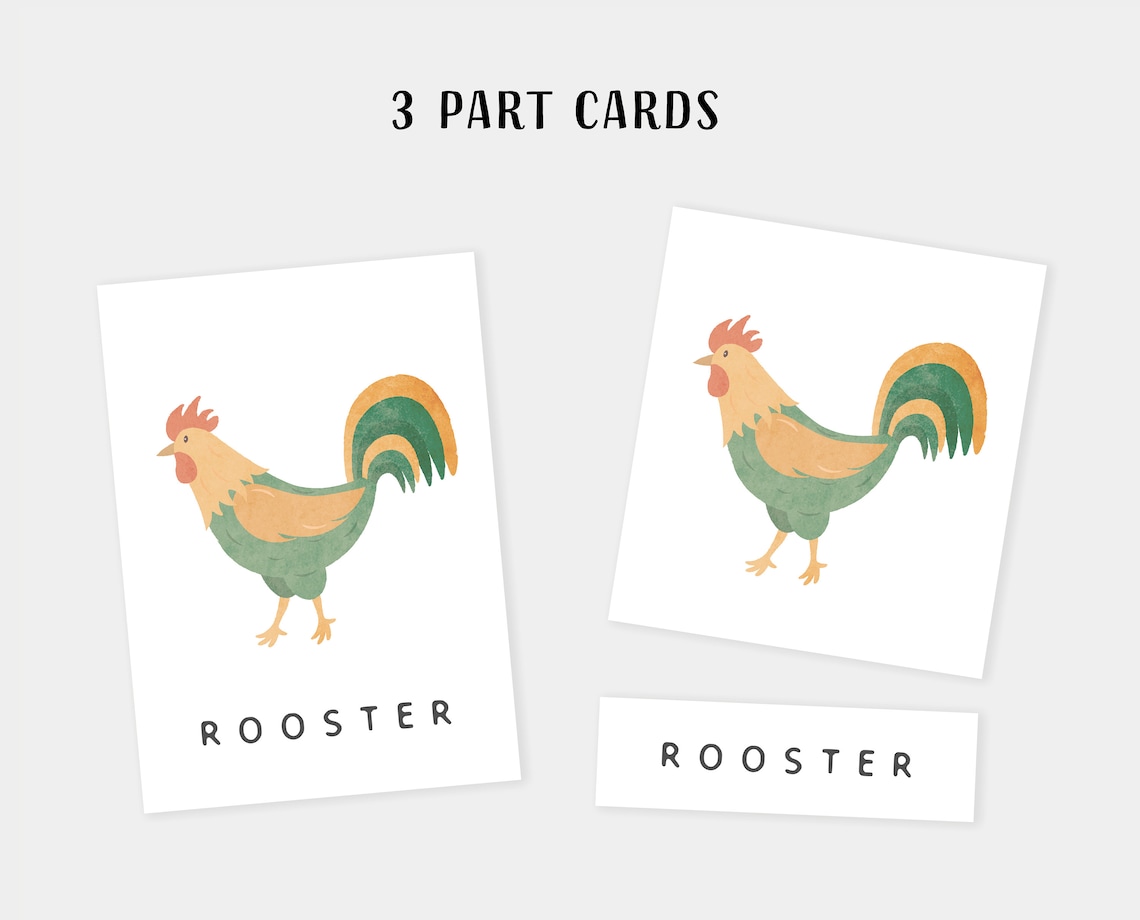 20 Farm Animals Cards Montessori Flash Cards Pre-school - Etsy