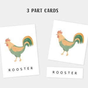 20 Farm Animals Cards, Montessori Flash Cards, Pre-school Cards ...
