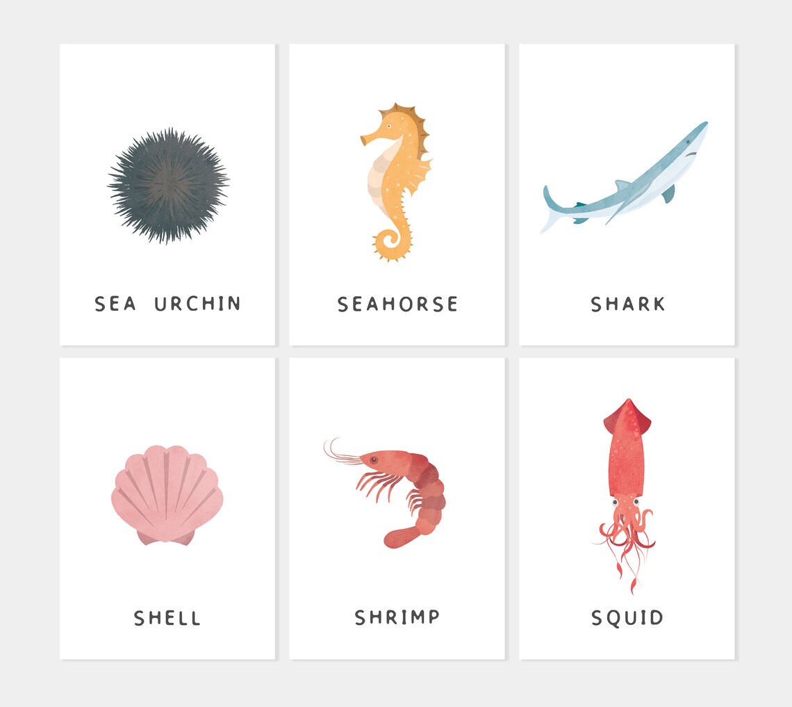 22 Ocean Animals Cards, Montessori Flash Cards, Pre-school Cards ...