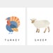 20 Farm Animals Cards, Montessori Flash Cards, Pre-school Cards ...