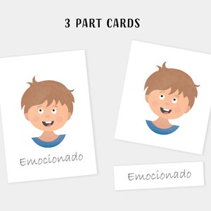 20 Feelings Flash Cards in Spanish, Emotions Chart, Montessori ...