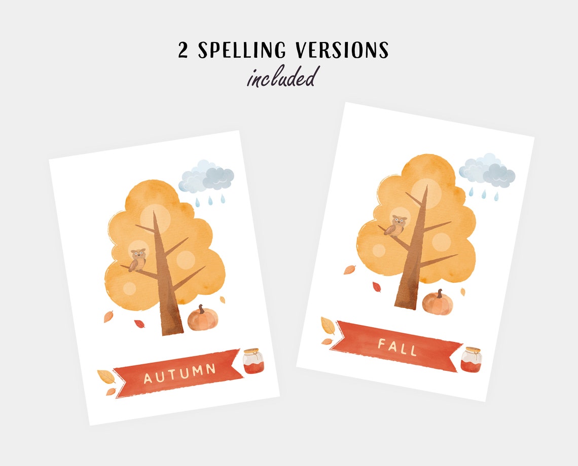 Seasons Flash Cards Seasons Chart Kids Wall Decor - Etsy