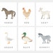 20 Farm Animals Cards, Montessori Flash Cards, Pre-school Cards ...