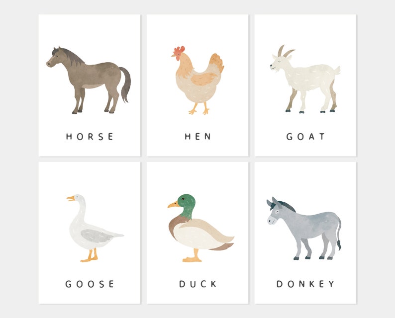 20 Farm Animals Cards Montessori Flash Cards Pre-school - Etsy UK