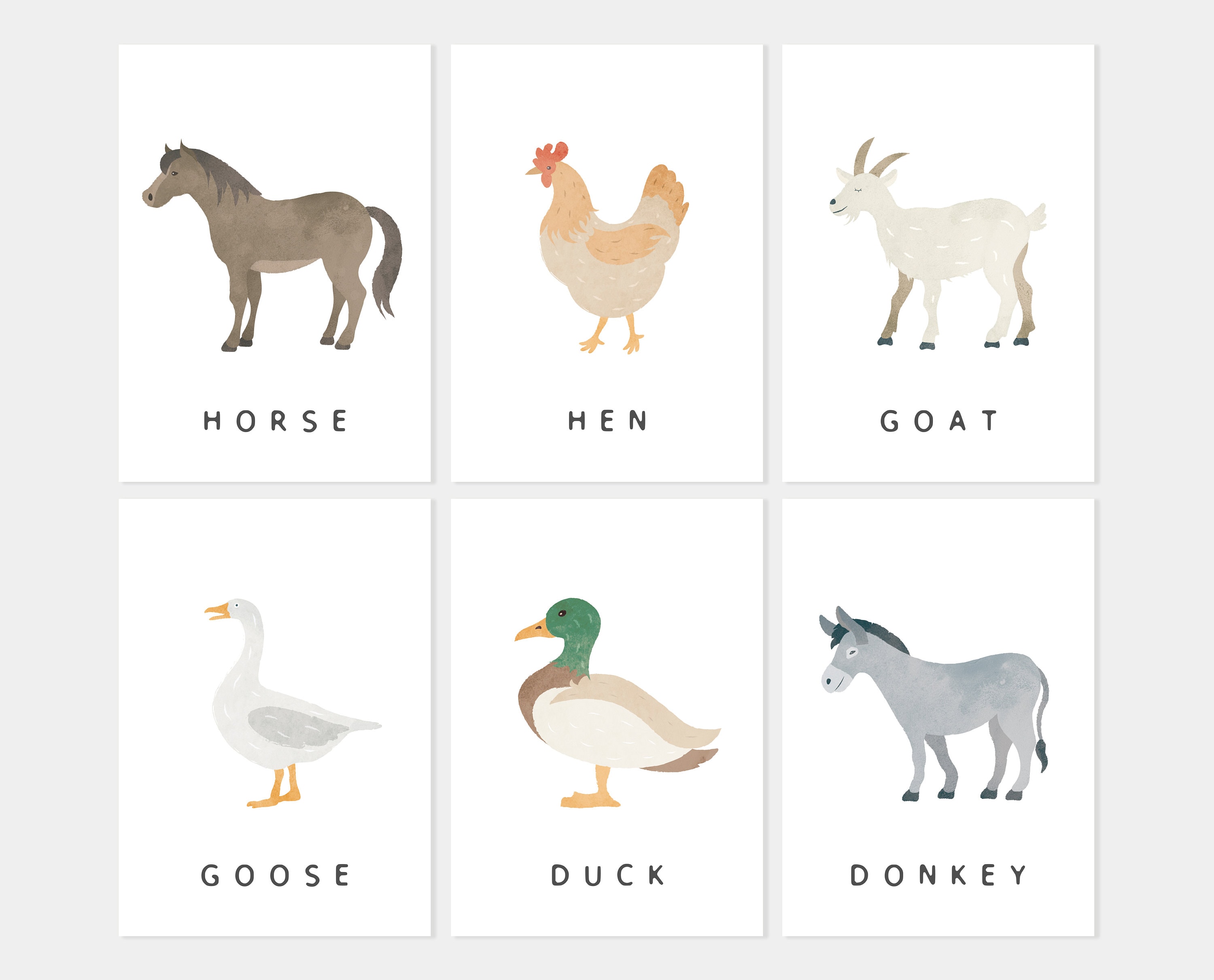 20 Farm Animals Cards Montessori Flash Cards Pre-school - Etsy UK