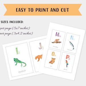 Printable Animal Alphabet Flash Cards, Classroom Decor, Toddlers ...