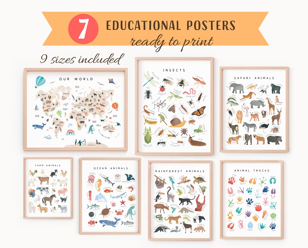 Set of 7 Educational Animal Posters, Insects, Farm Animals, Safari ...