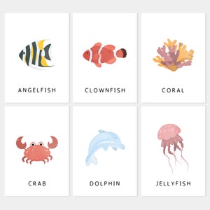 22 Ocean Animals Cards, Montessori Flash Cards, Pre-school Cards ...