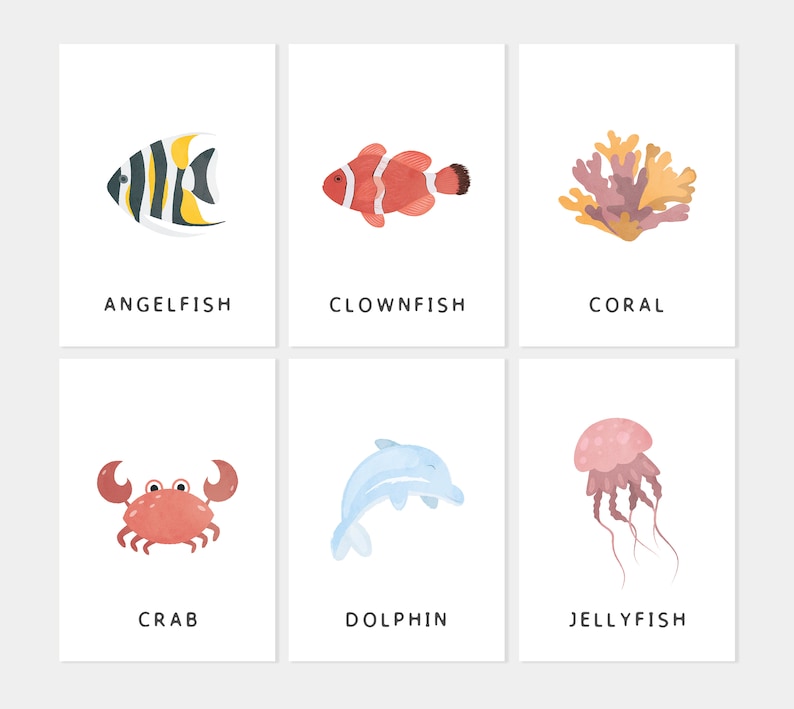 22 Ocean Animals Cards, Montessori Flash Cards, Pre-school Cards ...