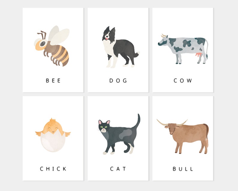 20 Farm Animals Cards Montessori Flash Cards Pre-school - Etsy