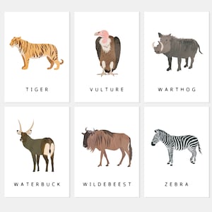 30 Safari Animals Flash Cards, Montessori Materials, Educational ...