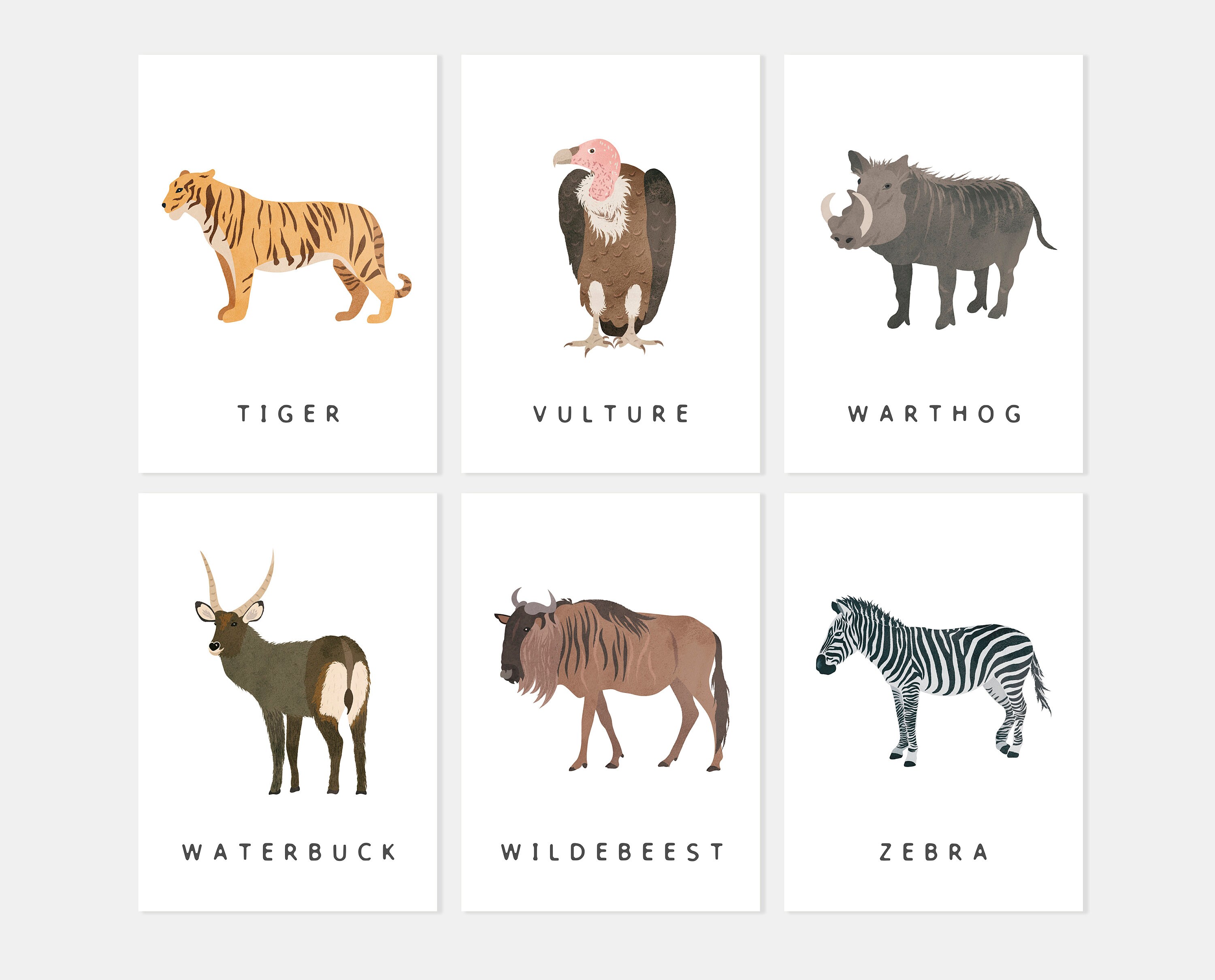30 Safari Animals Flash Cards, Montessori Materials, Educational ...