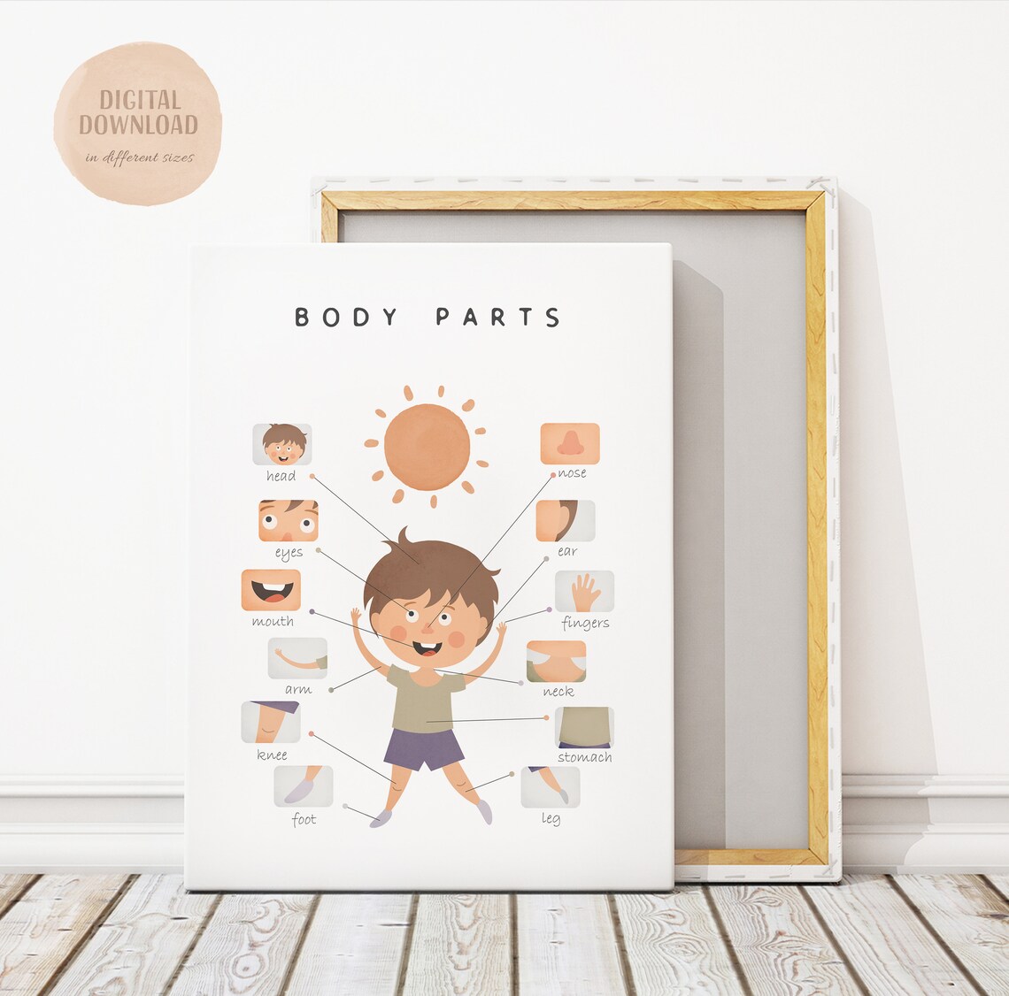Body Parts Educational Poster Printable Wall Art Digital - Etsy Canada