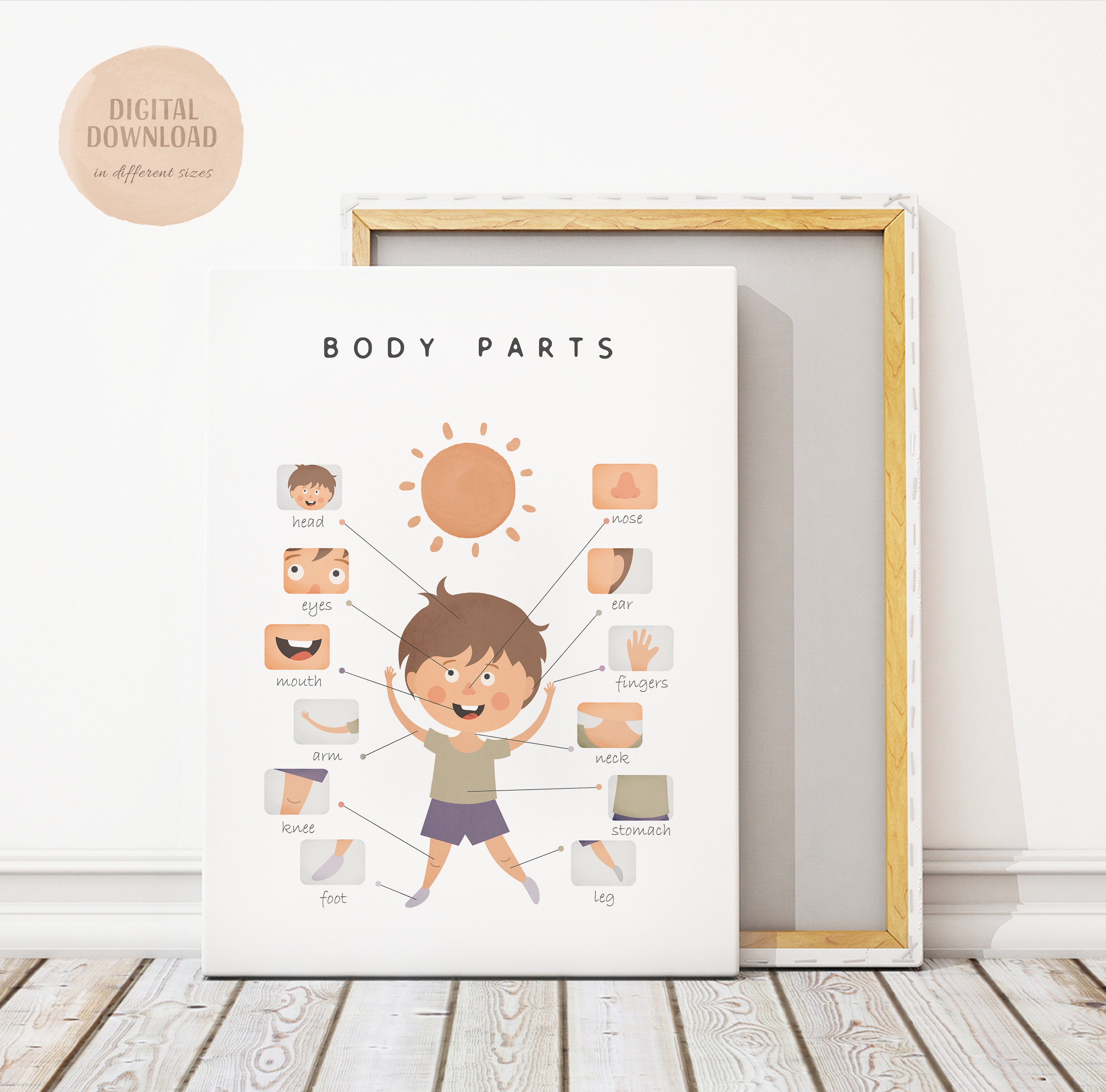 Body Parts Educational Poster Printable Wall Art Digital - Etsy Canada