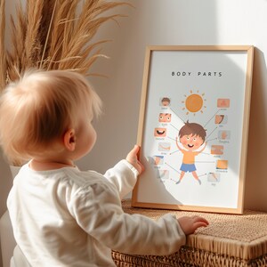 Body Parts Poster, Educational Posters, Montessori Materials, Nursery ...