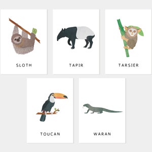 30 Rainforest Animals Flash Cards, Jungle Animals Flash Cards ...
