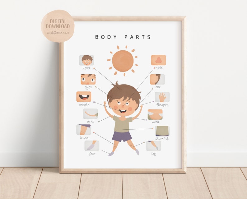 Body Parts Educational Poster Printable Wall Art Digital - Etsy Canada