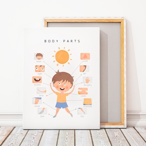 Body Parts Poster, Educational Posters, Montessori Materials, Nursery ...