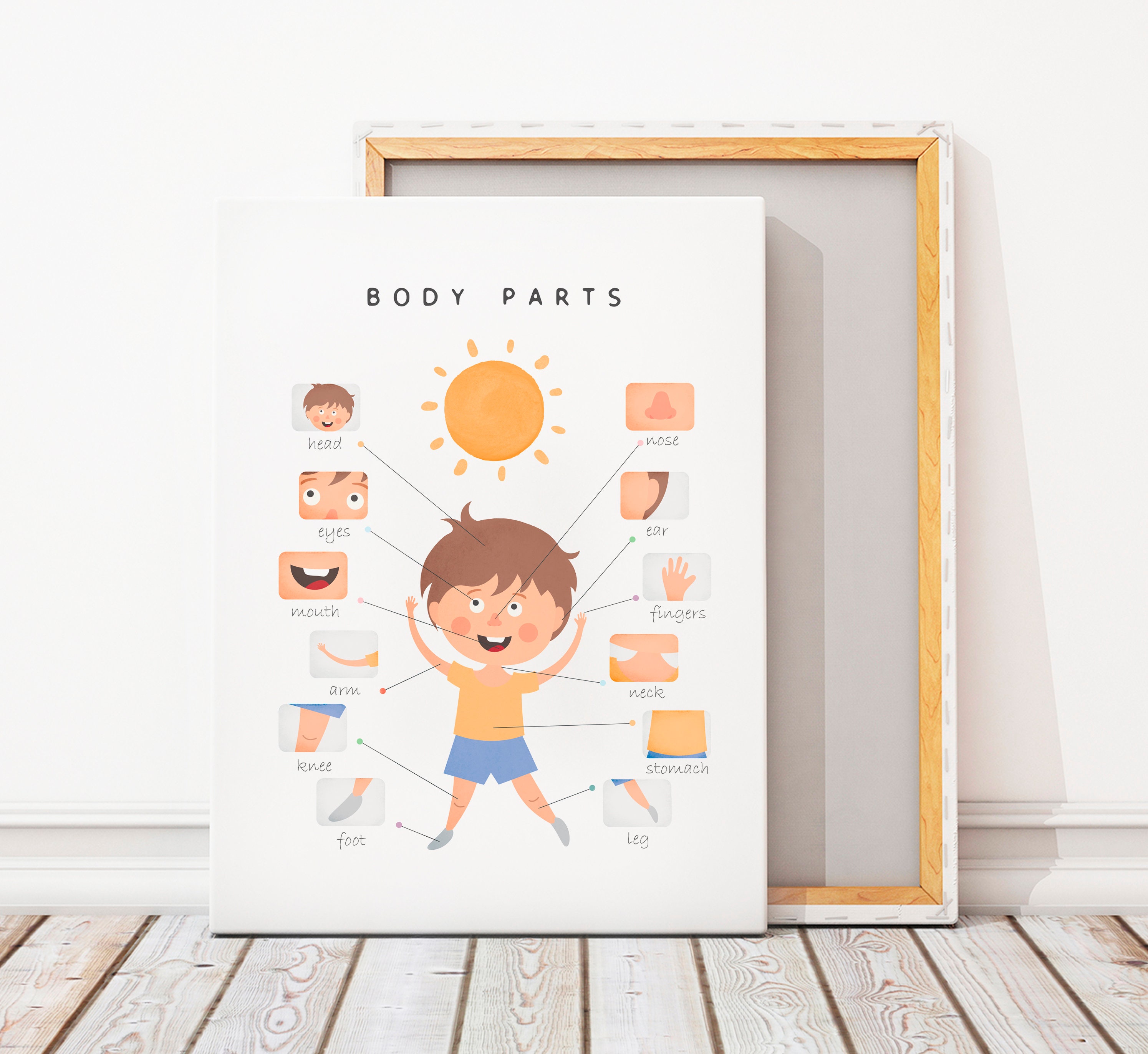 Body Parts Poster, Educational Posters, Montessori Materials, Nursery ...