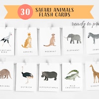 Jungle Animal Alphabet Flash Cards, Zoo Animals Learning Toys ...