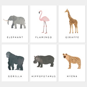 30 Safari Animals Flash Cards, Montessori Materials, Educational ...