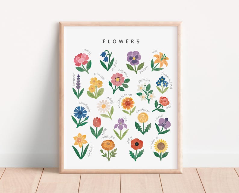 Educational Flowers Poster: Watercolor Classroom Decor (digital ...