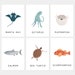 22 Ocean Animals Cards, Montessori Flash Cards, Pre-school Cards ...