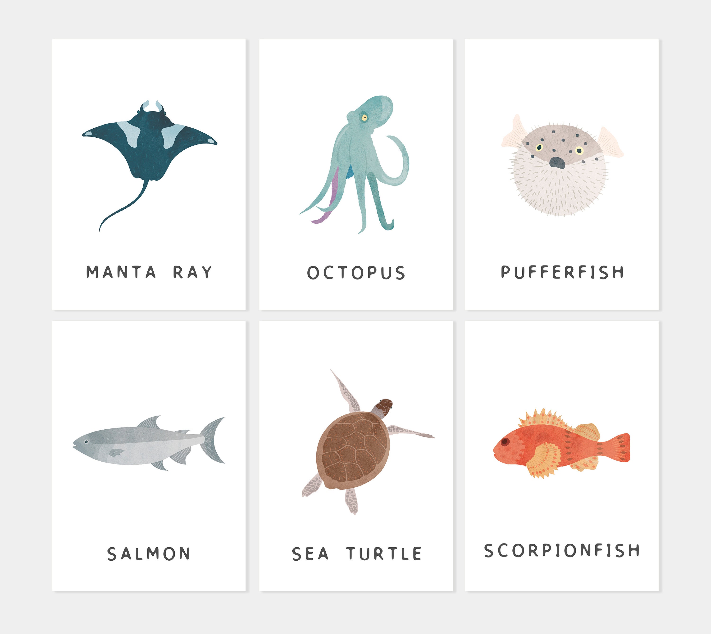 22 Ocean Animals Cards, Montessori Flash Cards, Pre-school Cards ...