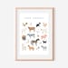 Farm Animals Poster, Educational Poster, Nursery Wall Decor, Playroom ...