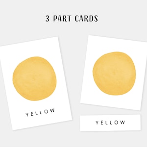 20 Color Cards, Montessori Flashcards, Pre-school Cards, Montessori ...
